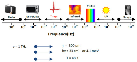 Hidden Dangerous Object Recognition in Terahertz Images Using Deep ...