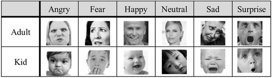 Facial Emotion Recognition Analysis Based on Age-Biased Data
