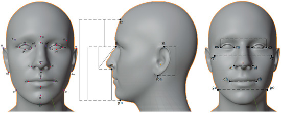 Review: Facial Anthropometric, Landmark Extraction, and Nasal ...