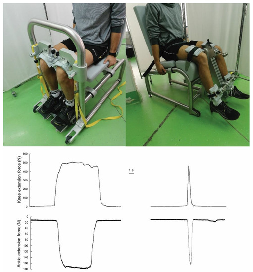 Comparison of Rate of Force Development between Explosive Sustained ...