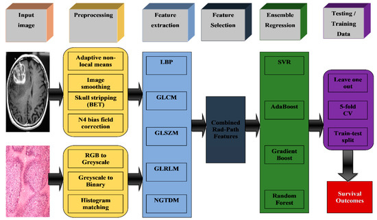 Survival Prediction of Glioma Patients from Integrated Radiology and ...