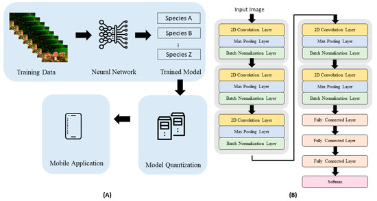 Machine Learning-Based Classification of Mushrooms Using a Smartphone Application