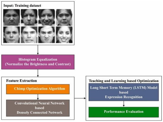 Robust Facial Expression Recognition Using an Evolutionary Algorithm ...