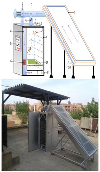 Investigation into Solar Drying of Moroccan Strawberry Tree (Arbutus ...
