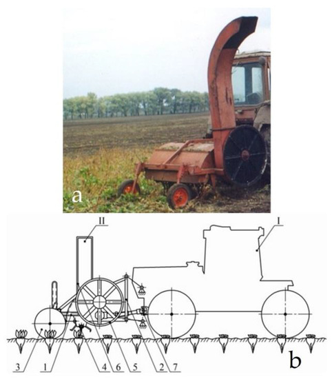 Study of the Movement Dynamics of a Beet Leaves Harvester
