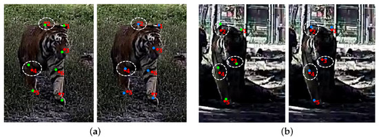 Animal Pose Estimation Based on 3D Priors