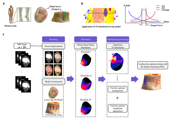 Optimization Framework for Temporal Interference Current Tibial Nerve ...