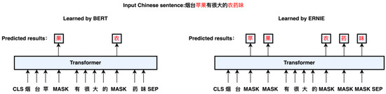 Applied Sciences | Free Full-Text | A Chinese Named Entity Recognition ...