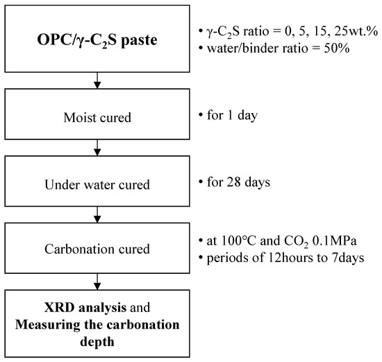 CO2 Diffusion and Carbonation in OPC/γ-2CaO·SiO2 Composite