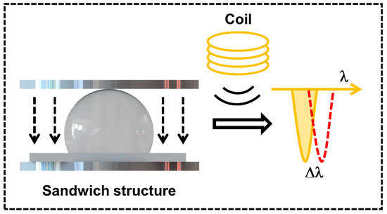 A High-Sensitivity Magnetic Field Sensor Based on PDMS Flexible Resonator