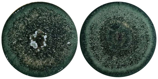 Fungi of the Trichoderma Genus: Future Perspectives of Benefits in ...