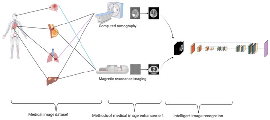 Advances in Computer-Aided Medical Image Processing