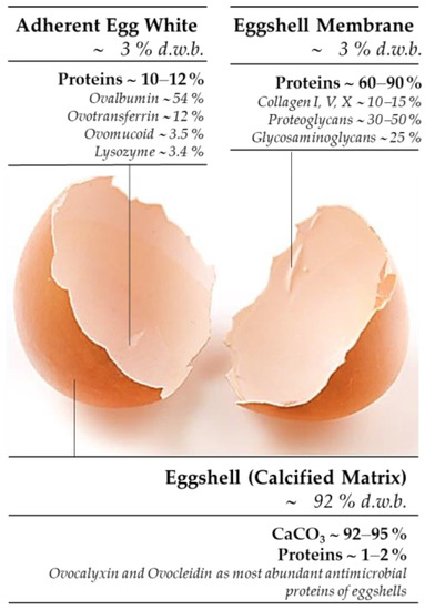 Eggshell-Waste-Derived Calcium Acetate, Calcium Hydrogen Phosphate and ...
