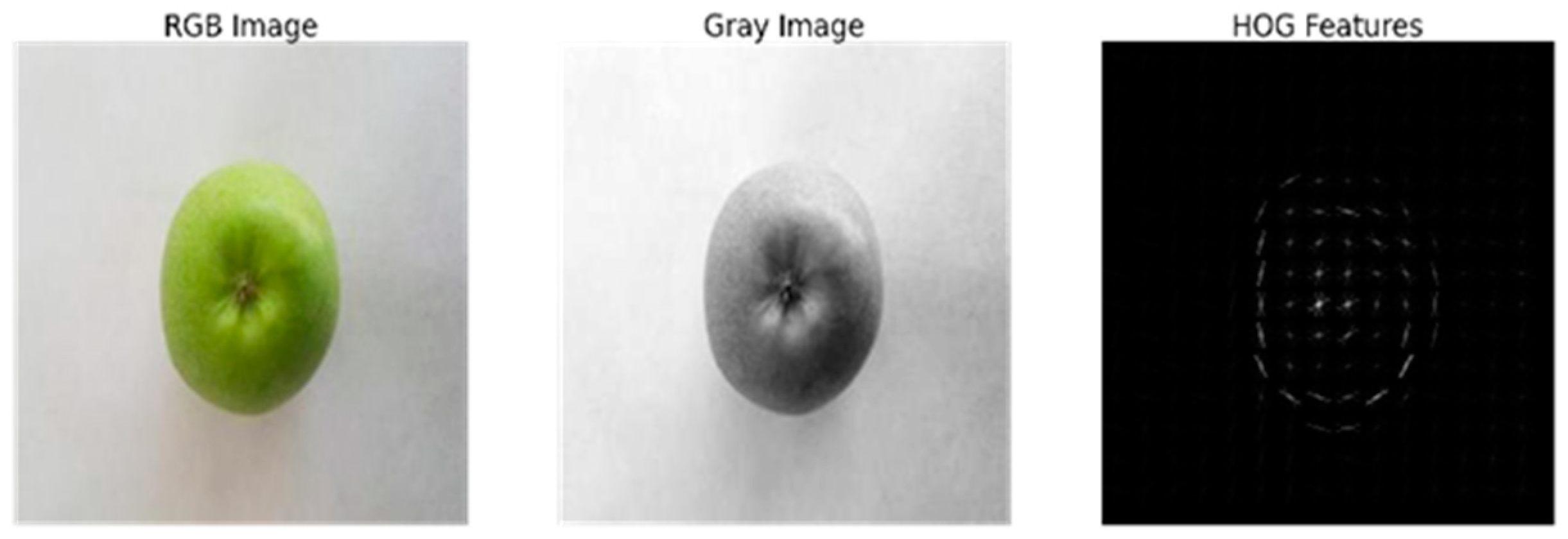 Applied Sciences | Free Full-Text | Multiclass Apple Varieties ...