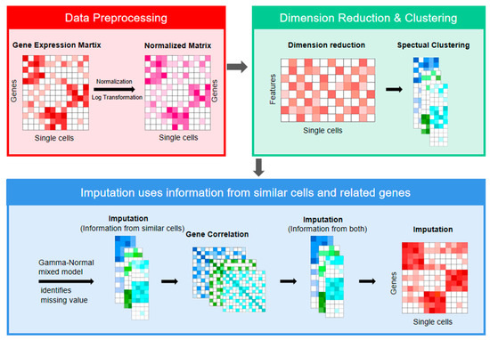 scCGImpute: An Imputation Method for Single-Cell RNA Sequencing Data ...
