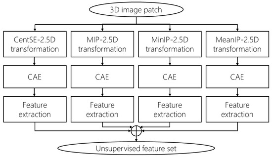Unsupervised Feature Extraction for Various Computer-Aided Diagnosis ...