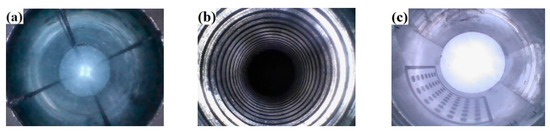 A Method for Correcting Endoscopic Images to Measure the Size of ...