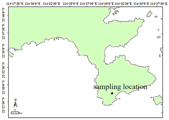 Improved Prediction of Aquatic Beetle Diversity in a Stagnant Pool by a ...
