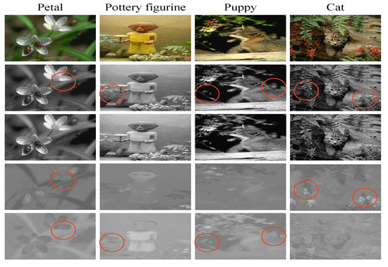M2GF: Multi-Scale and Multi-Directional Gabor Filters for Image Edge ...