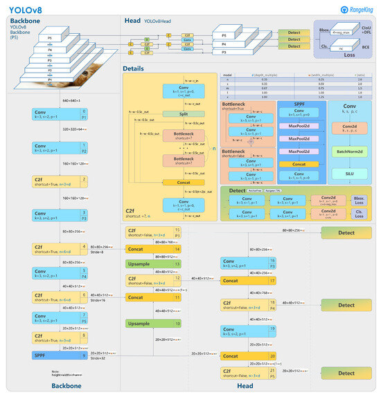 Fish Detection under Occlusion Using Modified You Only Look Once v8 ...