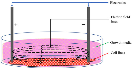 Applied Sciences | Free Full-Text | A Low-Cost, Scalable, and ...