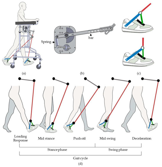 A Proof of Principle Study Conducted by Community-Dwelling Seniors ...