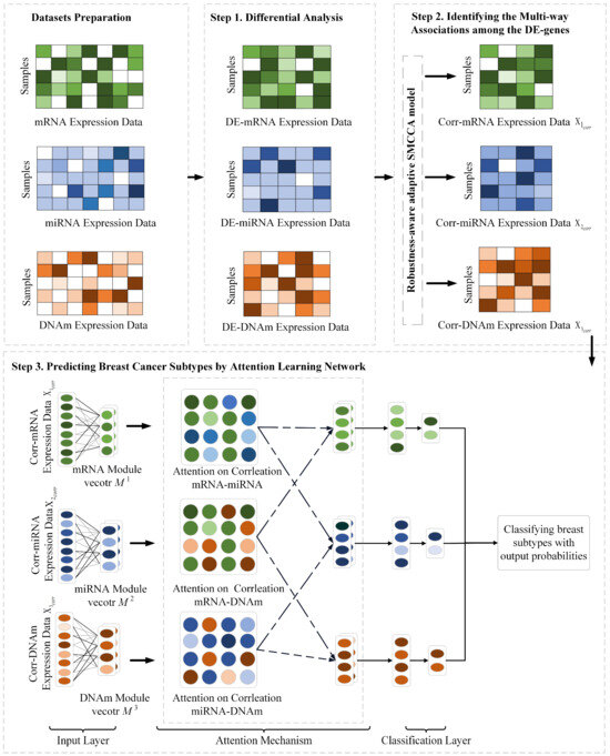 Applied Sciences | Free Full-Text | DiffRS-net: A Novel Framework for Classifying Breast Cancer ...