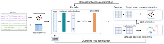 SGAAE-AC: A Semi-Supervised Graph Attention Autoencoder for ...