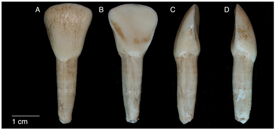 Applied Sciences | Free Full-Text | Reproducibility of Three ...