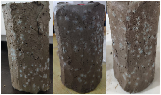 Study on the Effects and Mechanism of the Reinforcement of Soft Clay ...
