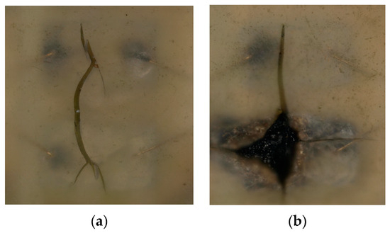 Multi-Stress Accelerated Degradation Testing Reliability Assessment of ...