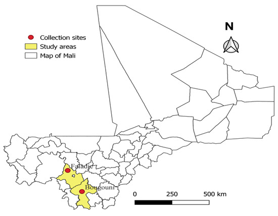 Variation in Relative Abundance of Small Mammal Species Caught in Two ...