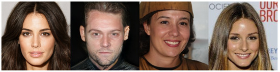 Advancing GAN Deepfake Detection: Mixed Datasets and Comprehensive ...