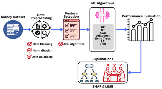 Enhancing Kidney Disease Diagnosis Using ACO-Based Feature Selection ...