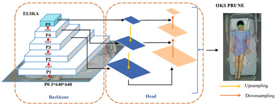 HP-YOLO: A Lightweight Real-Time Human Pose Estimation Method