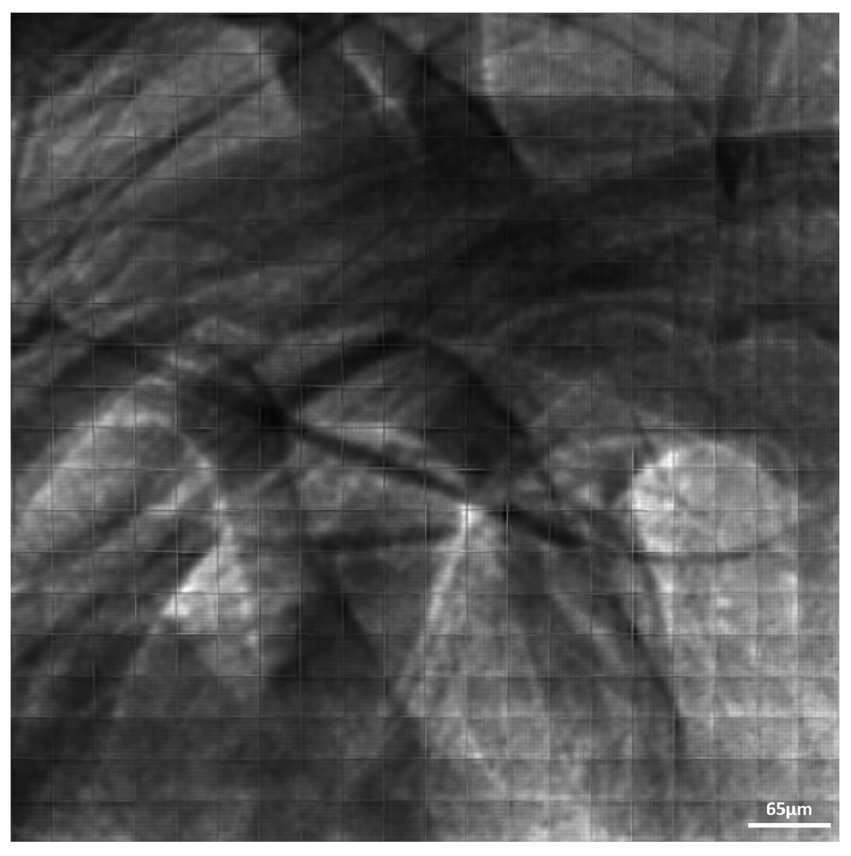 Parallel Ghost Imaging with Extra Large Field of View and High Pixel ...