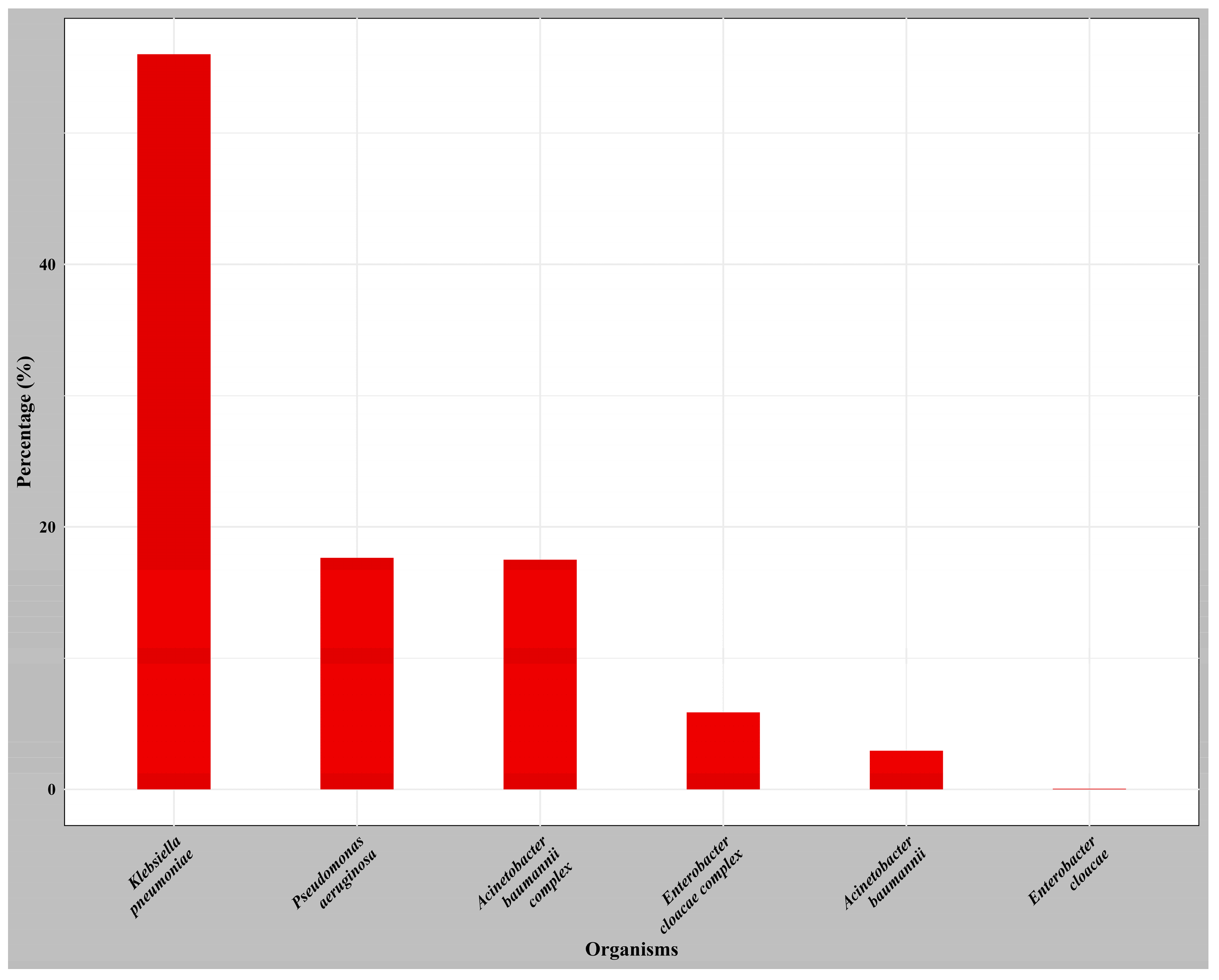 Prevalence and Antimicrobial Resistance of Gram-Negative ESKAPE ...