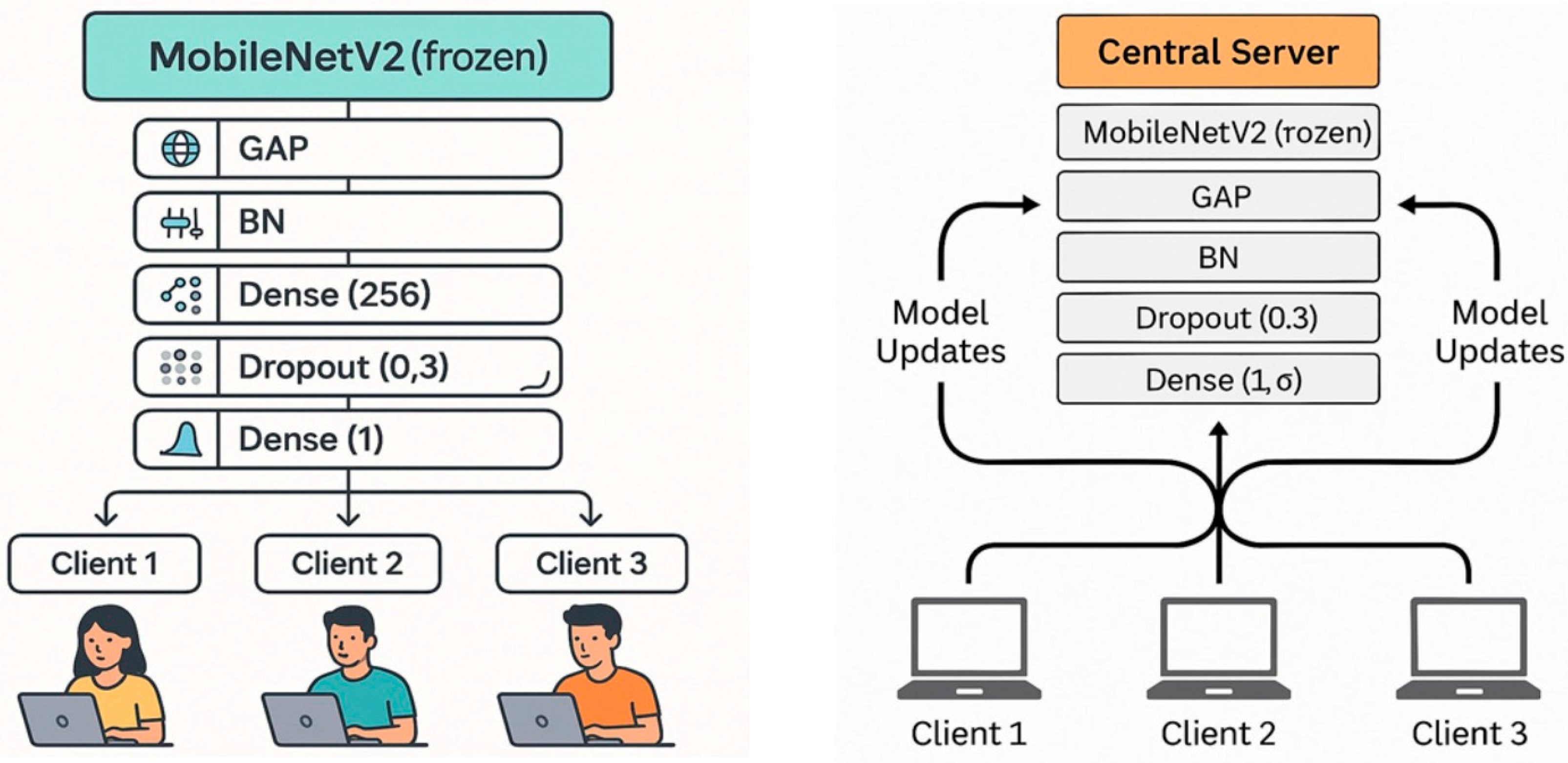 Fall Detection Using Federated Lightweight CNN Models: A Comparison of ...