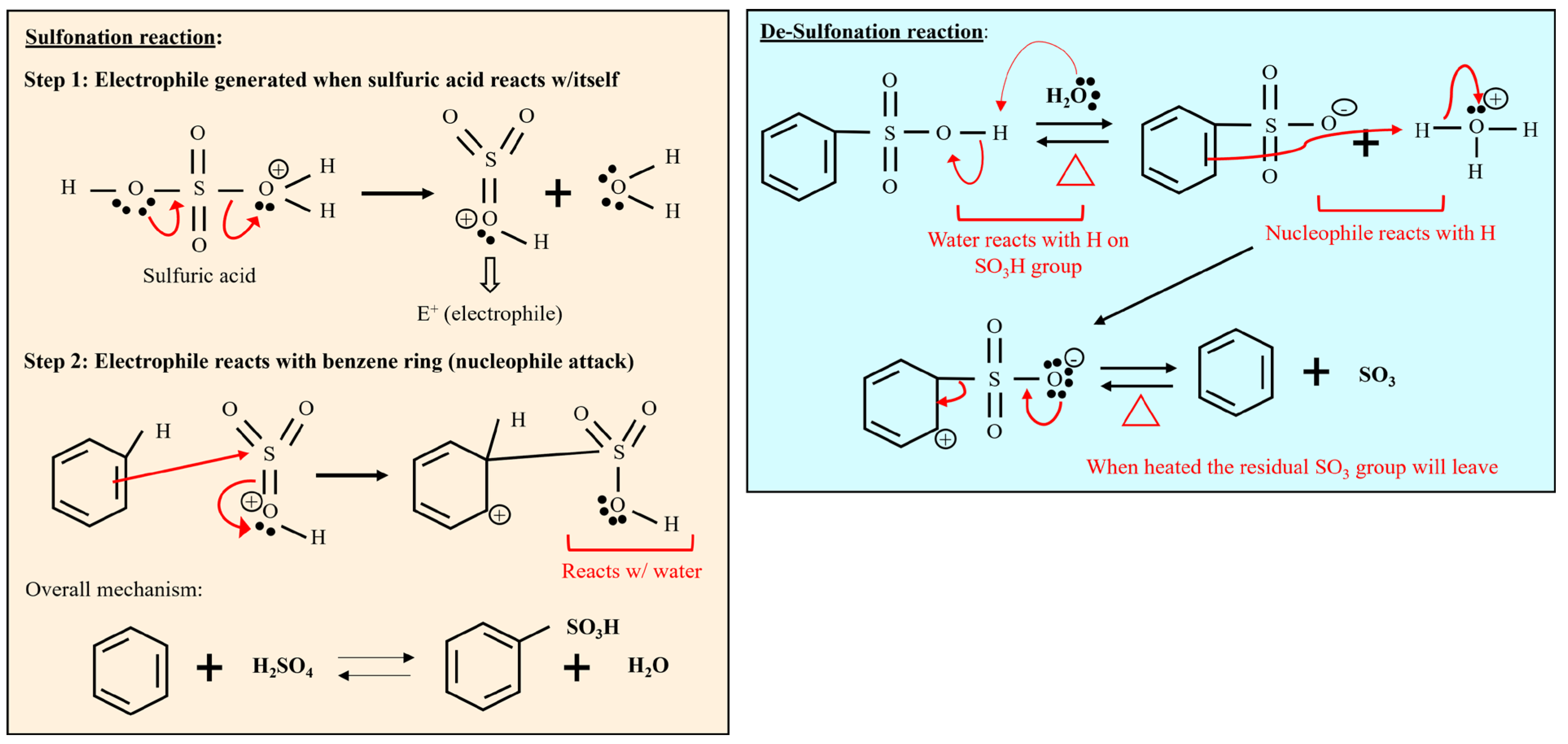 Characterization of Expulsion, Cell Viability, and Bacterial Attachment ...