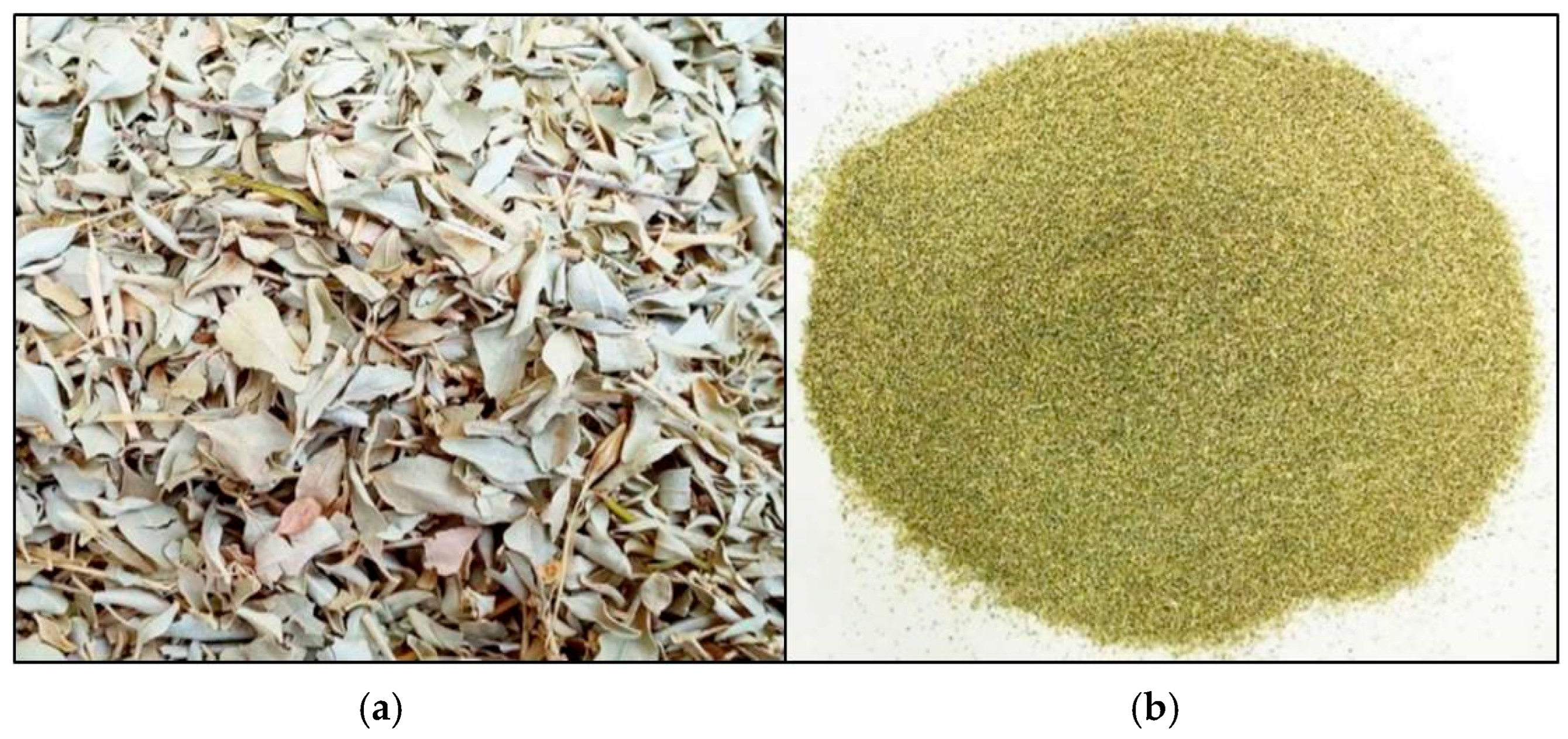 Biopharmaceutical and Pharmacotechnical Characterization of Plant ...