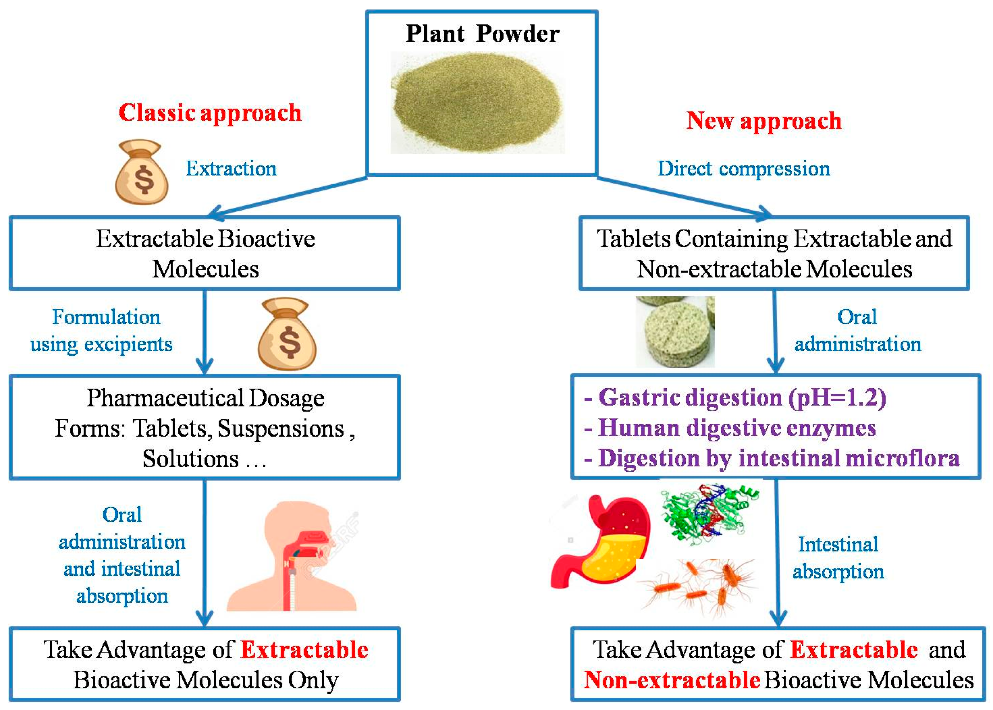 Biopharmaceutical and Pharmacotechnical Characterization of Plant ...