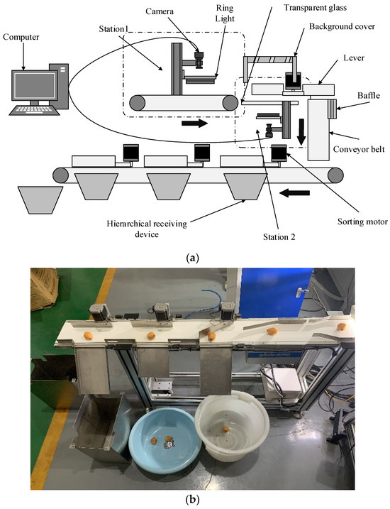 Automatic Fruit Grading System with High Adaptability Using Machine ...