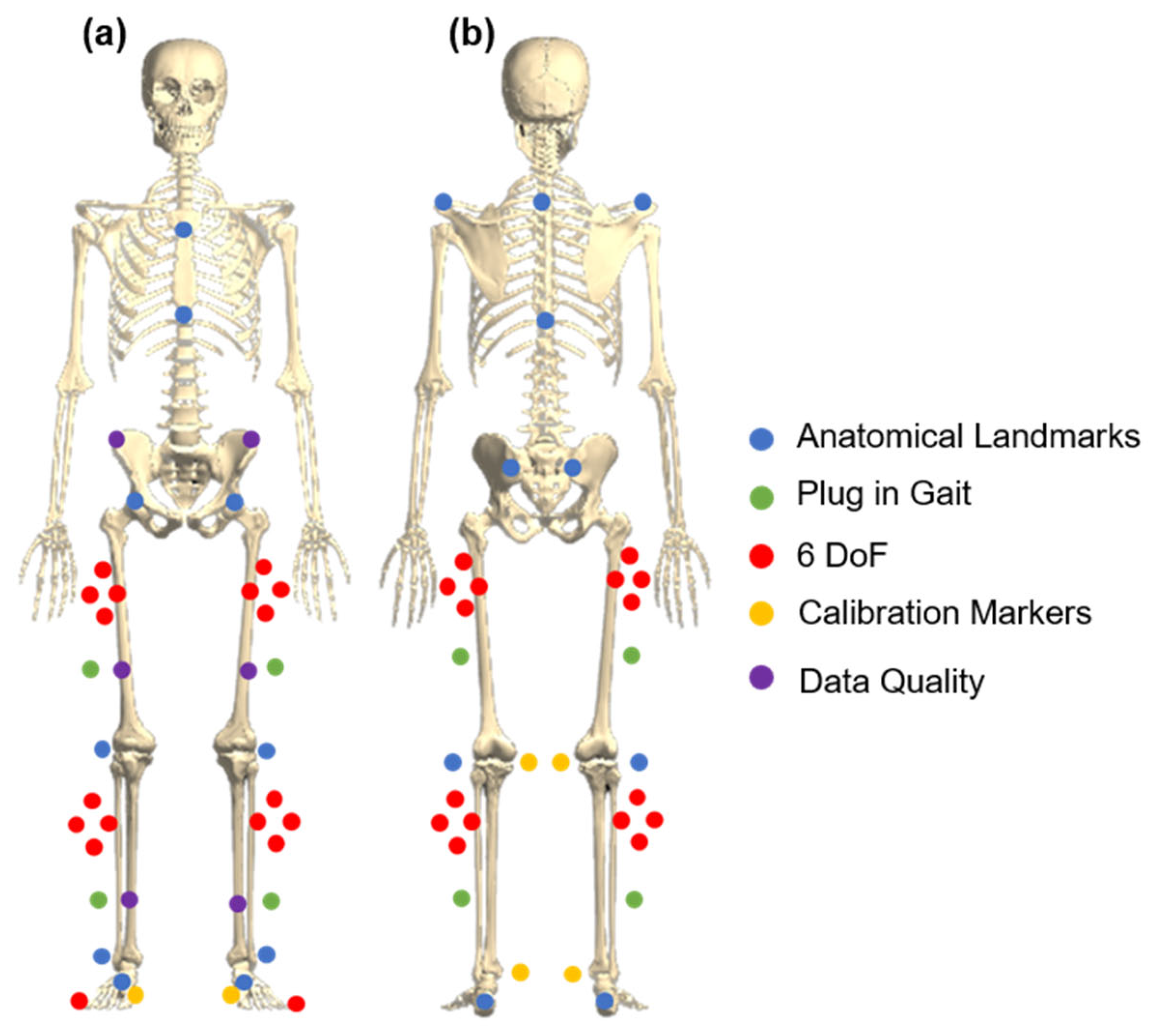 Between-Limb Asymmetry Assessment During a Double-Leg Drop Jump Task ...
