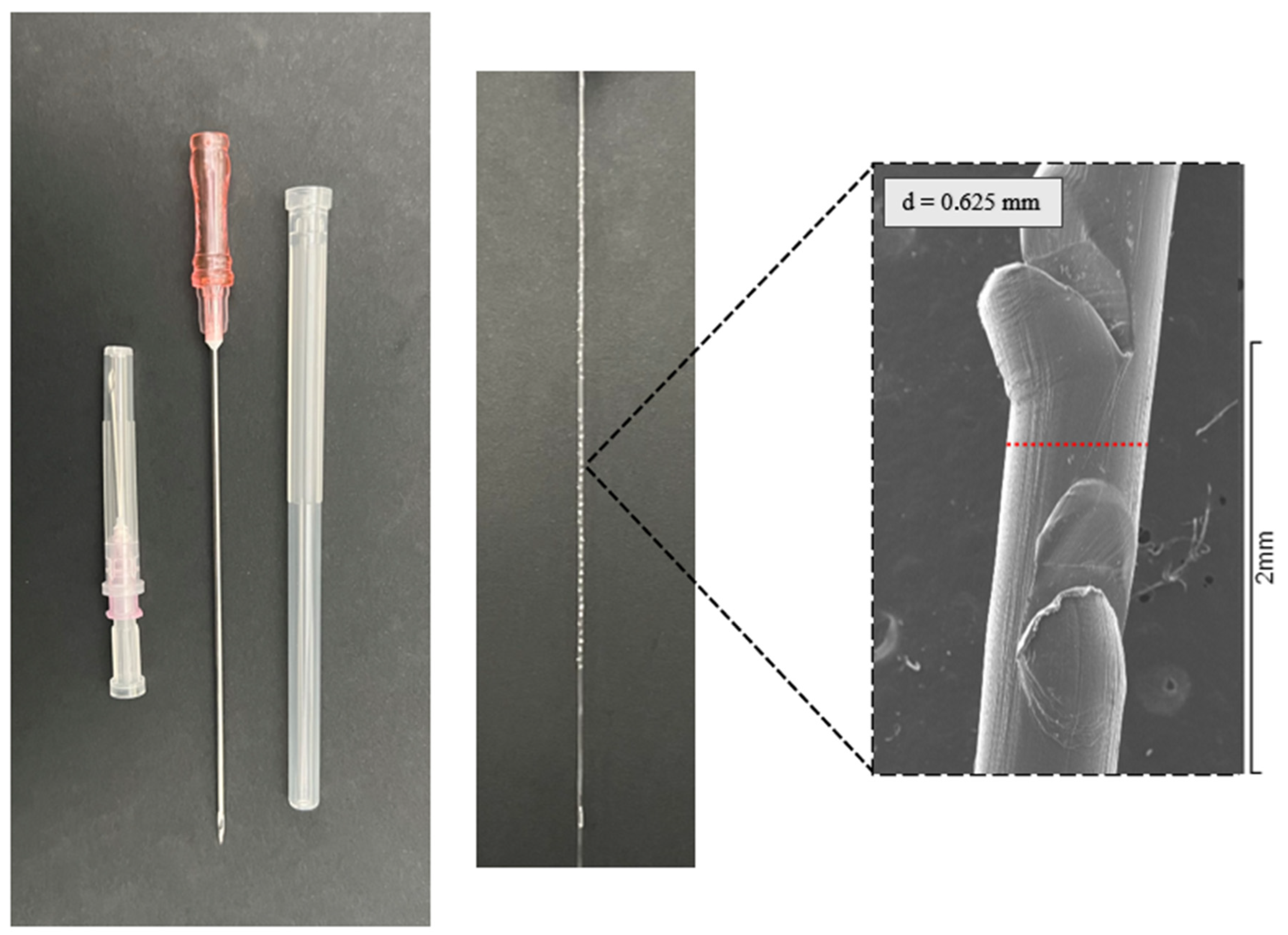In Vivo Assessment of PCL Cog Thread Reinforcement Using an ...