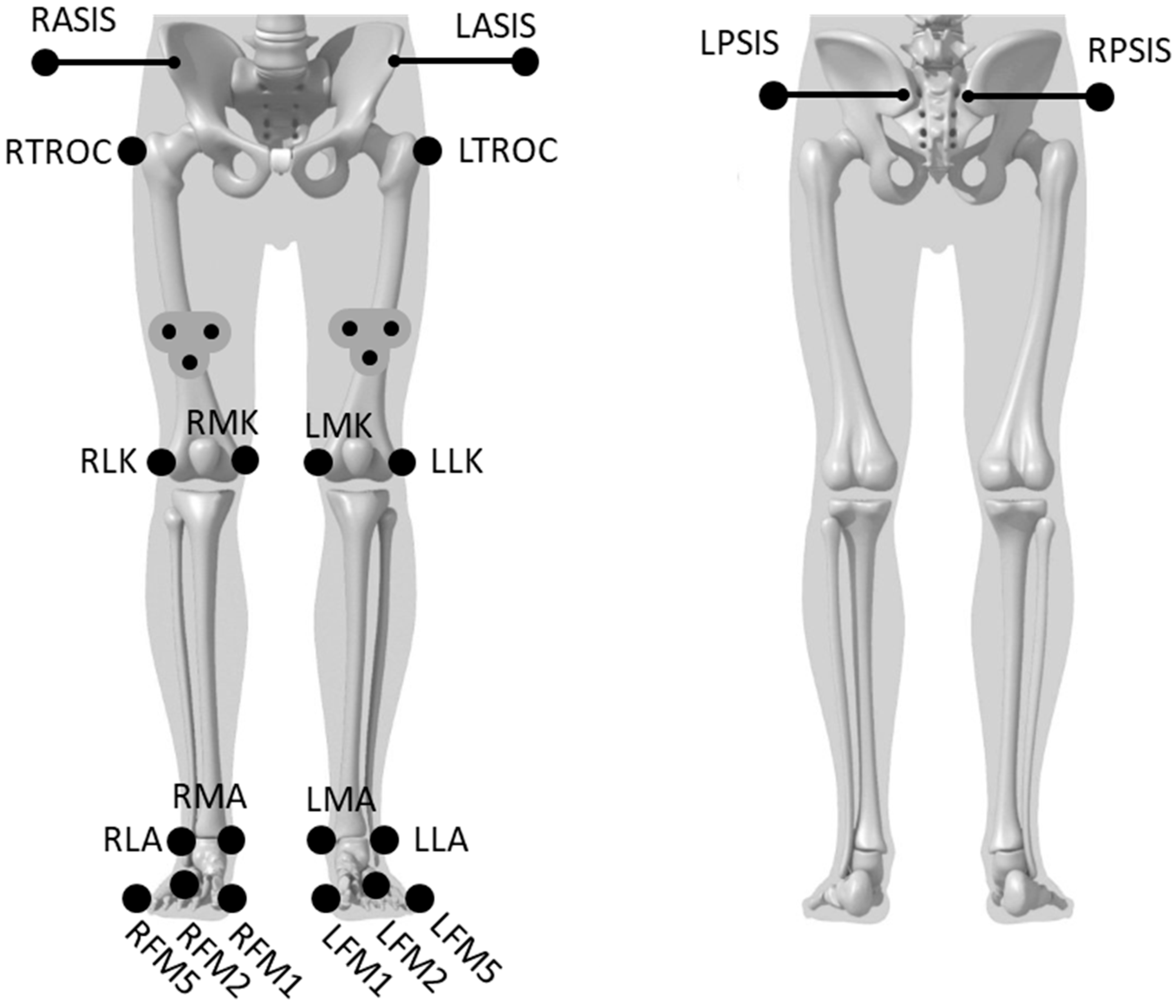 3D Analysis of the Initial and End Positions of an Active and Passive ...