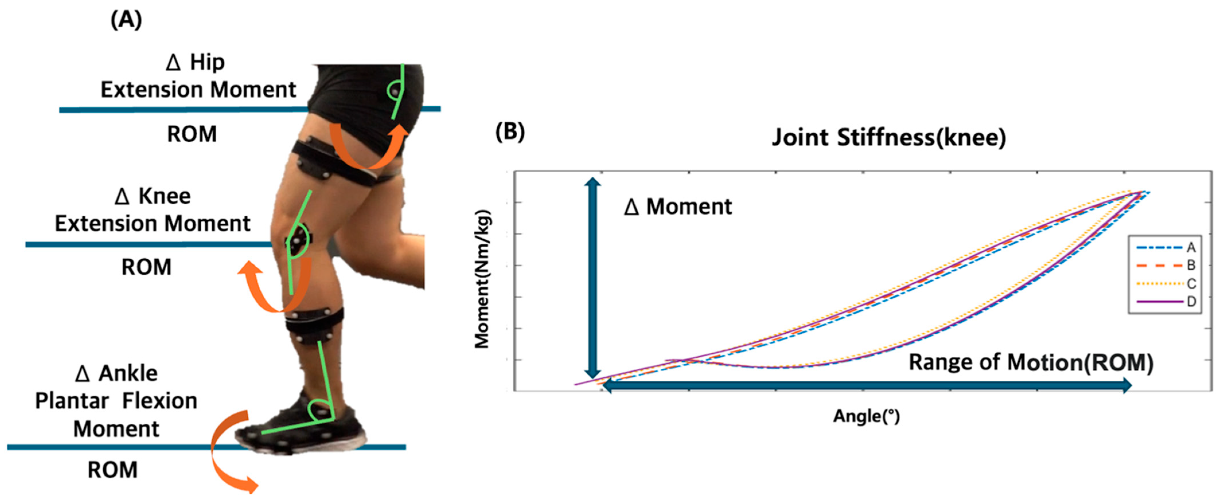 The Effect of Different Midsole Cushioning Types on Impact Forces and ...