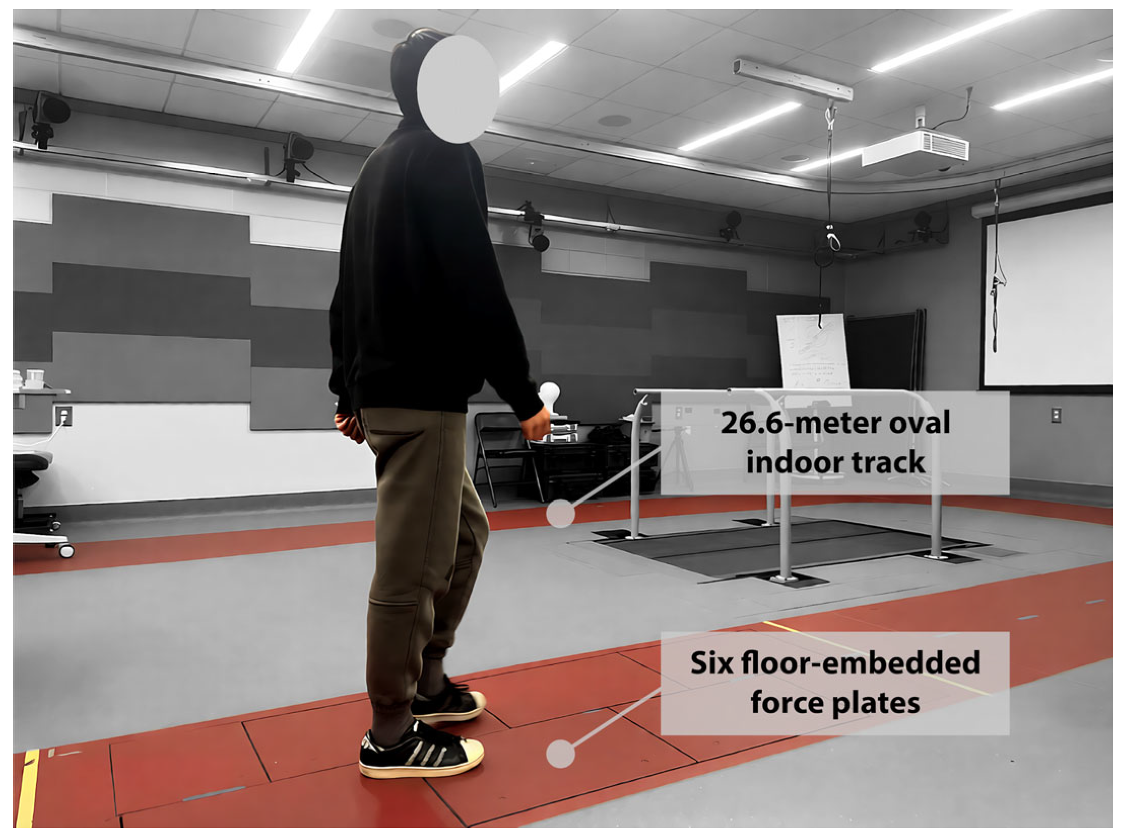 Classifying Post-Stroke Gait Propulsion Impairment Beyond Walking Speed ...