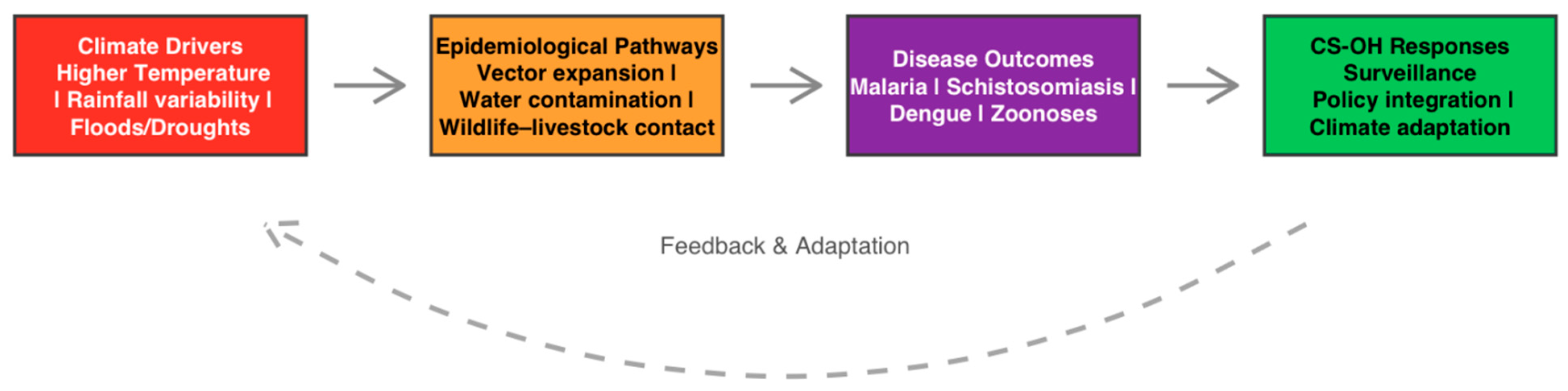 A One Health Approach to Climate-Driven Infectious Diseases in Sub ...