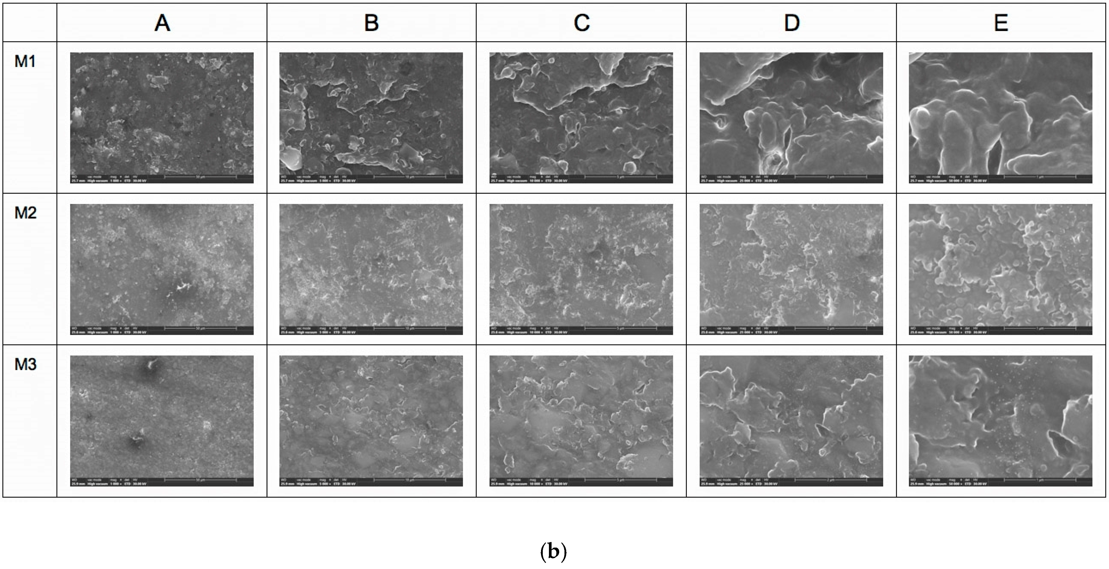 Studies of Akt/mTOR–Autophagy–Apoptosis Crosstalk in Human Gingival ...