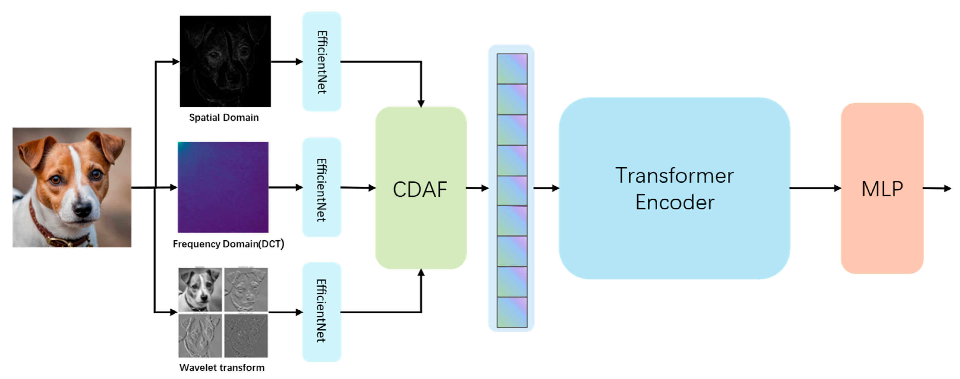 Multi-Domain Perception Transformer for Generalized Forgery Image Detection